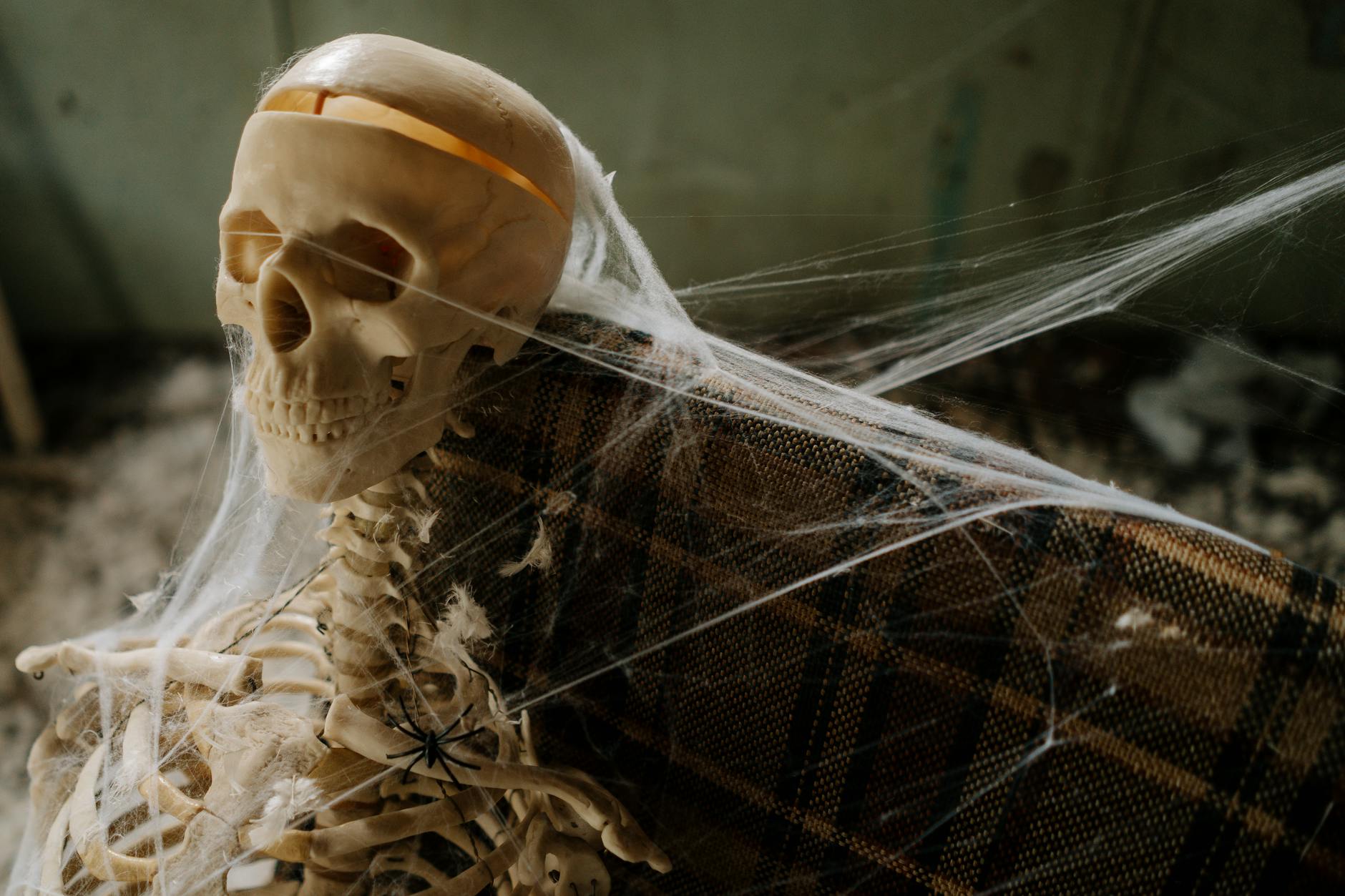Horror Movie Anticipation: Best 2026 Guide